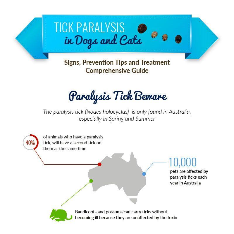 TICK PARALYSIS IN DOGS AND CATS