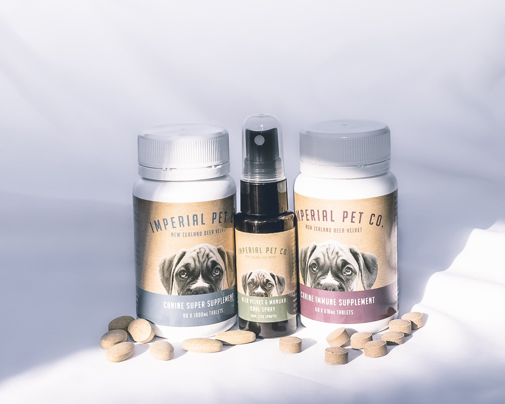 The Journey Behind Imperial Pet Co. - Pet Friendly Accommodation