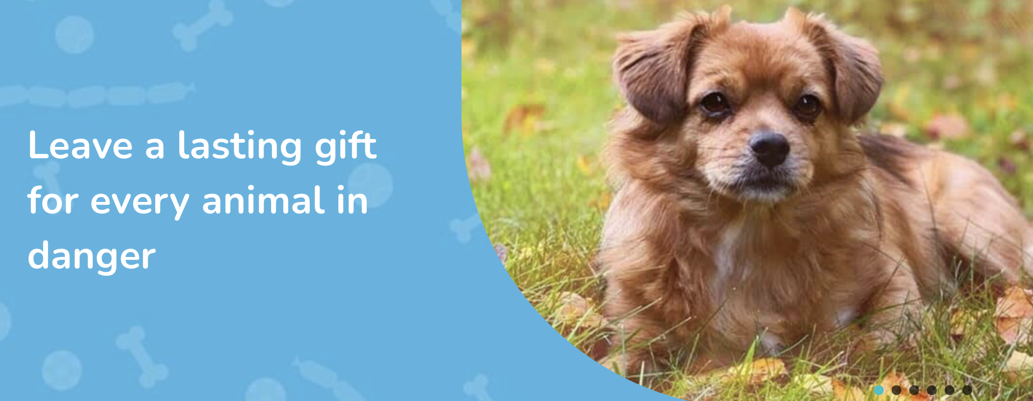 Creating a Lasting Legacy for Animals in Your Will - Pet Friendly ...