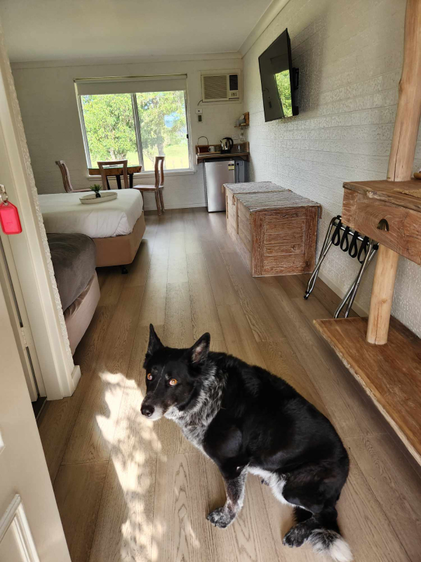 Vacy Hunter Valley Lodge - Pet Friendly Accommodation